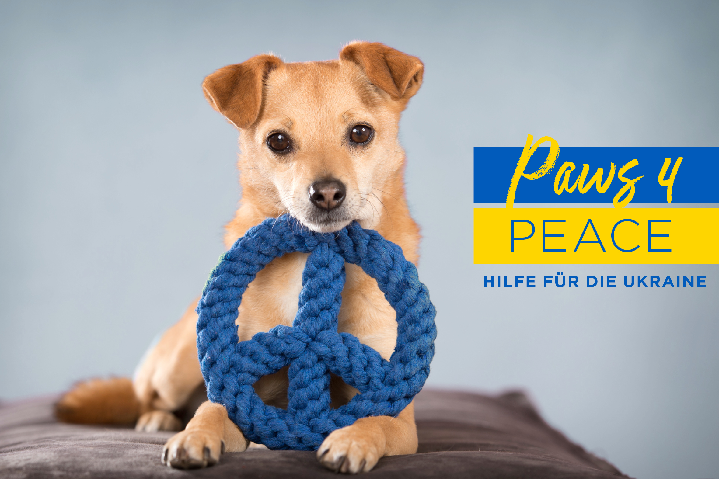 Paws for Peace | LABONI - Design für Hund und Halter