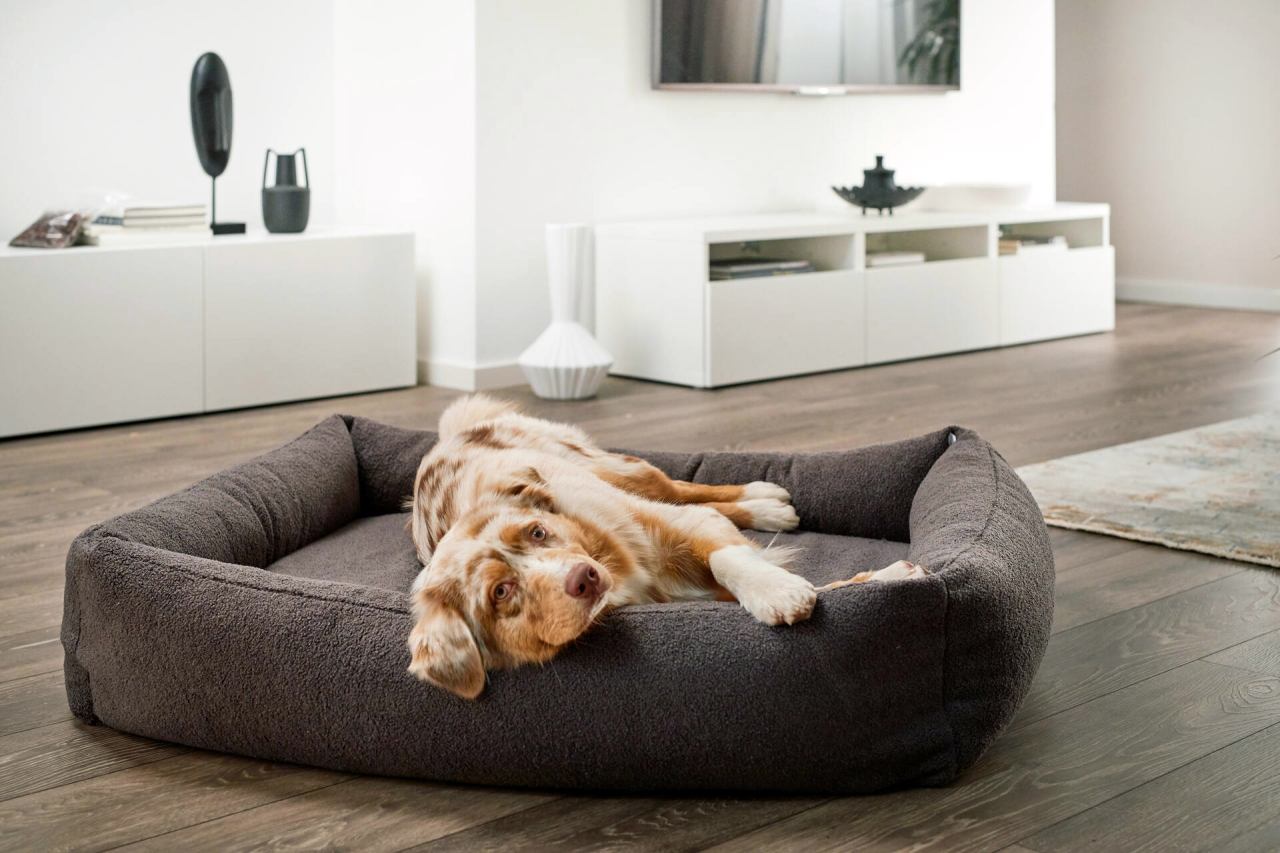 ORTHOPÄDISCH | HUNDEBETTEN | LABONI - Design für Hund und Halter