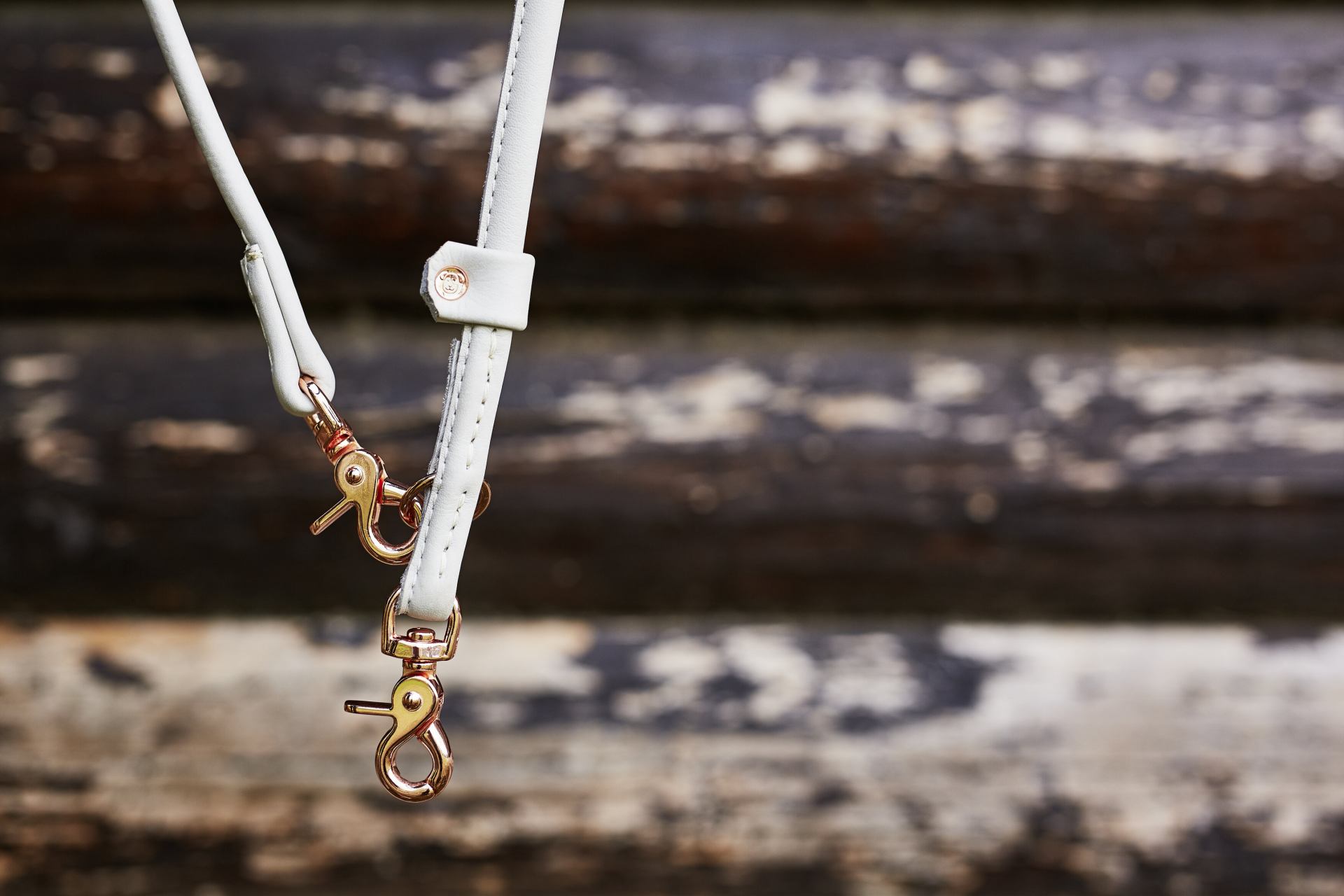 LEINEN & HALSBÄNDER | LABONI - Design für Hund und Halter